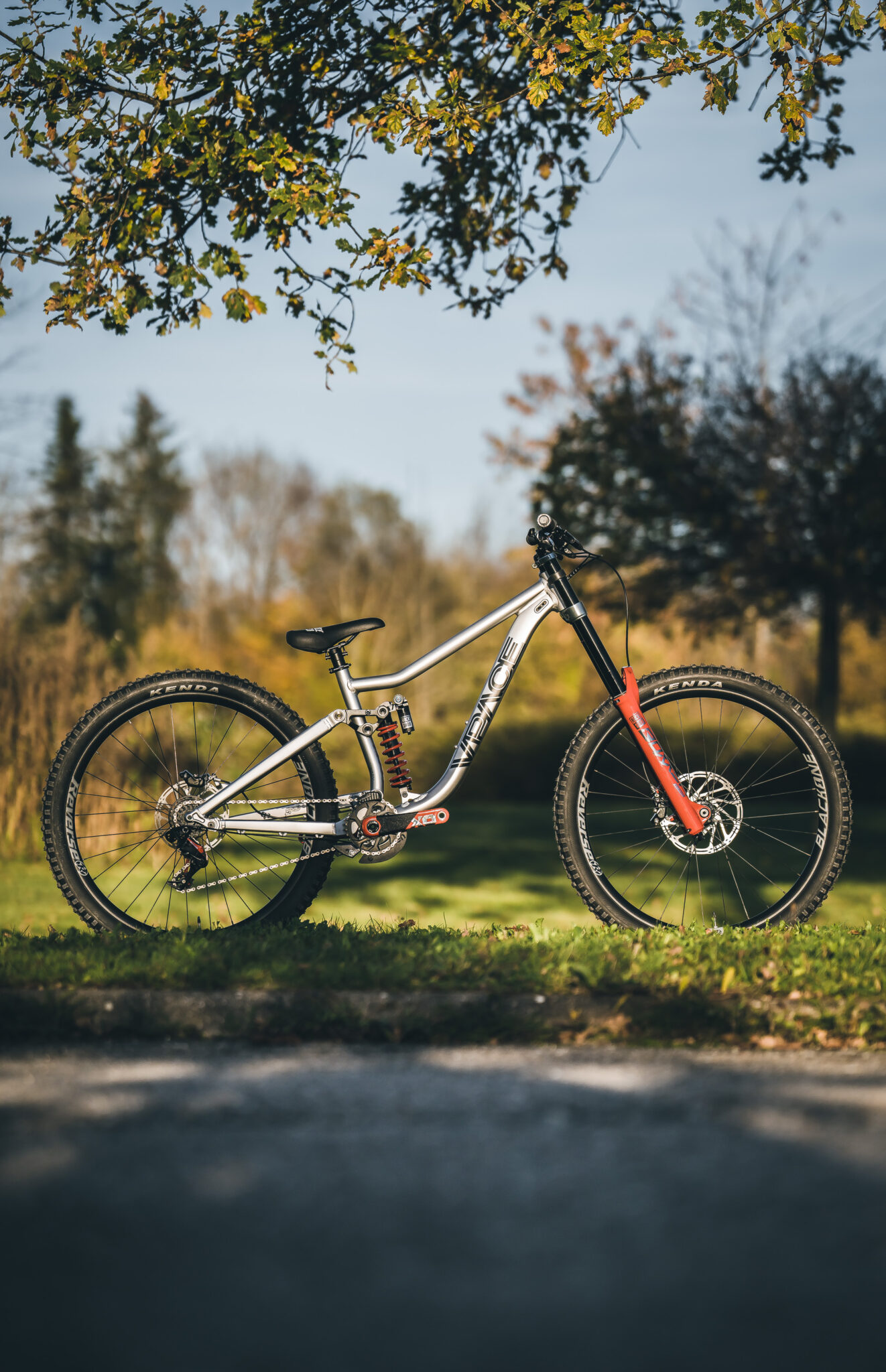 FRED275 Downhill Dream Build - VPACE Bikes